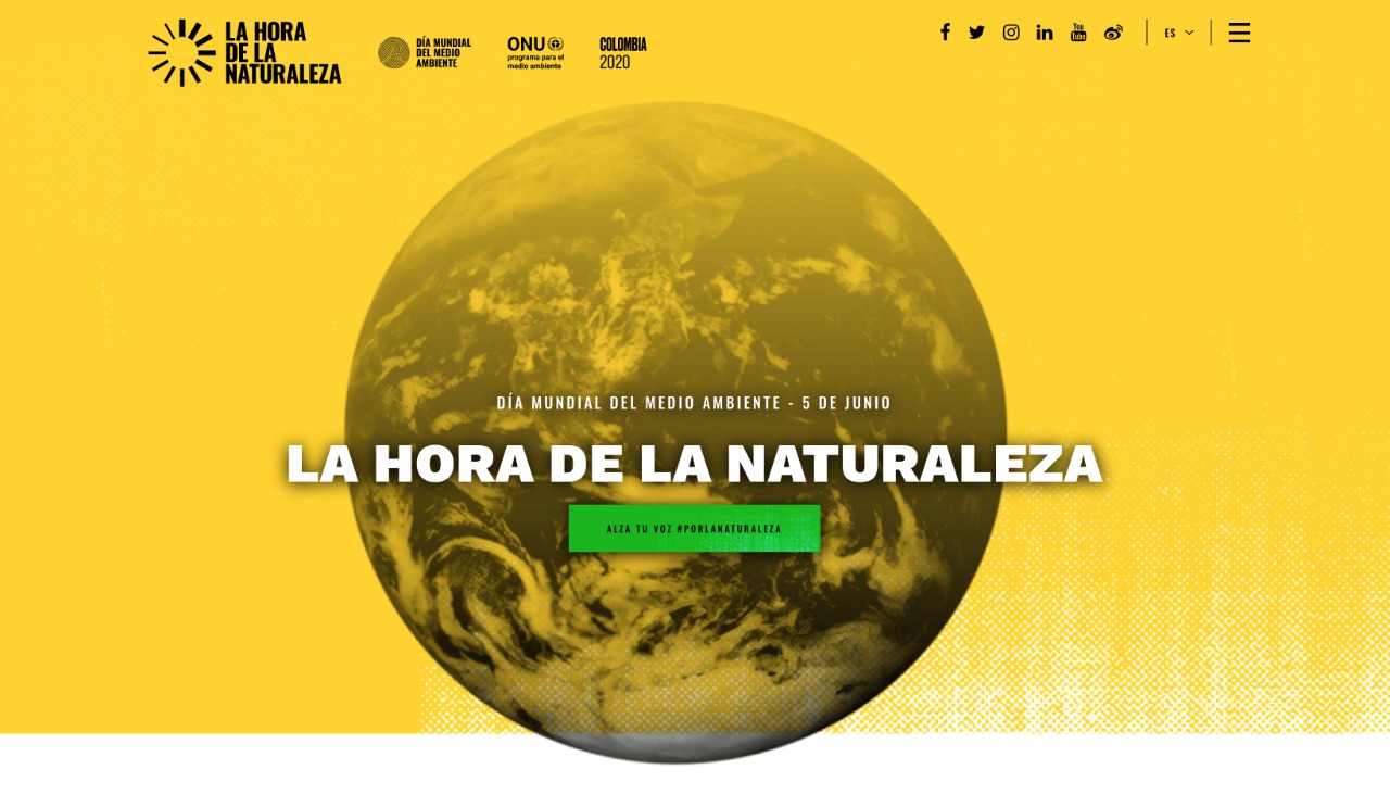 Día Mundial del Ambiente 2020