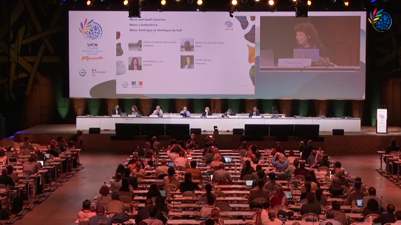 UICN elige nuevo liderazgo